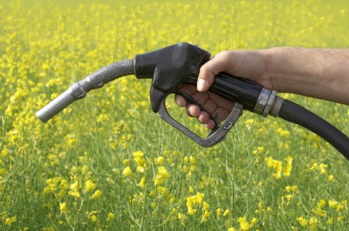 Biodiesel Distillation - SRS BiodieselSRS Biodiesel